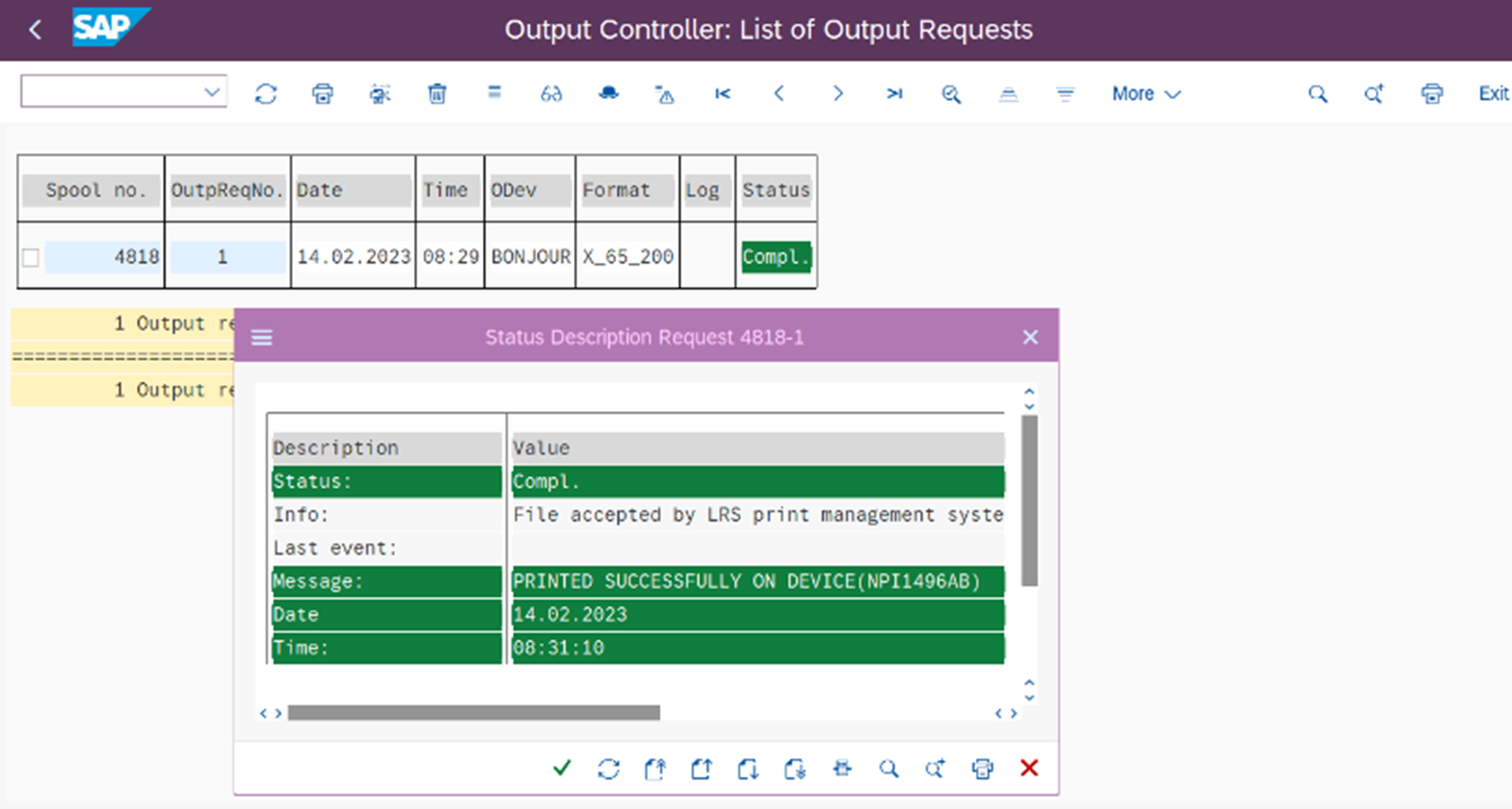 LRS solutions: Helping you RISE with SAP | LRS Output Management for SAP